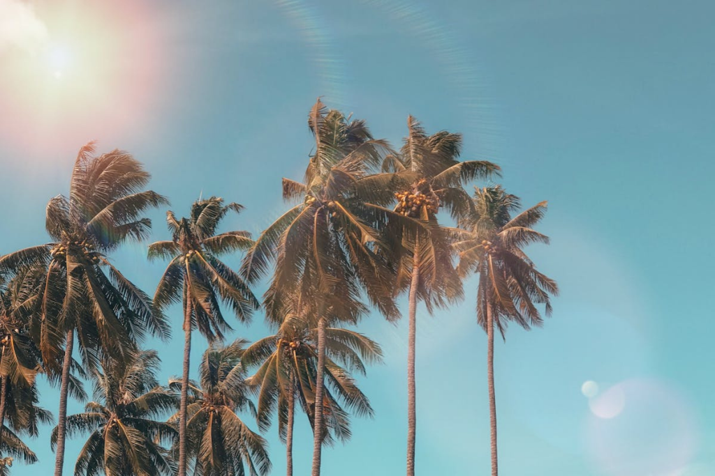 Clima tropical na América do Sul: destinos quentes para viajar o ano ...